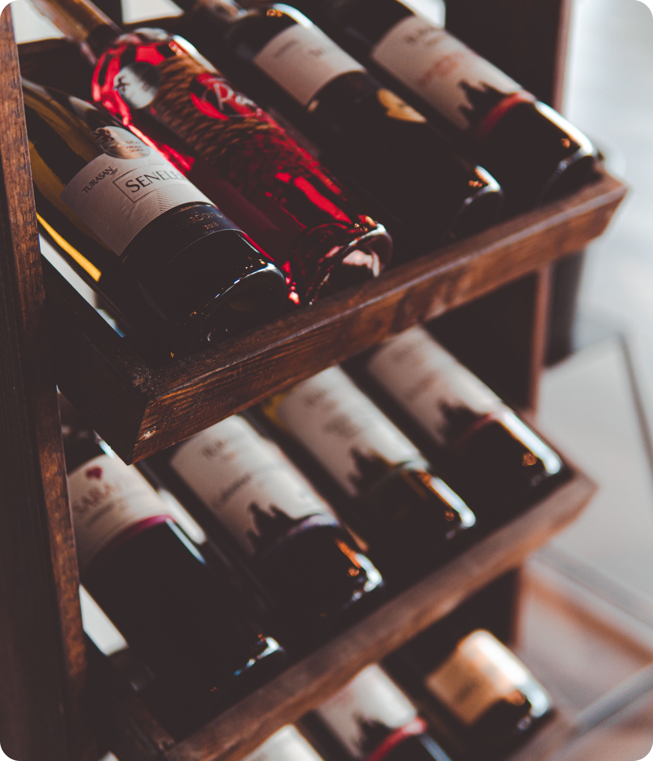 About us | Jacques Scott Online